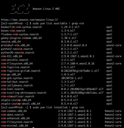 Ami 2022 Repo Always Behind Amazon Linux 2 On Patches Raws
