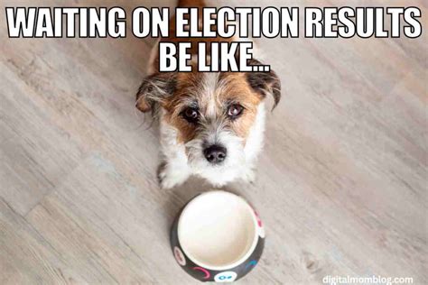 2024 Election Results Memes Best Way To Survive The Night