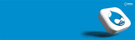 Drupal Training In Nepal Build Powerful Websites With Drupal