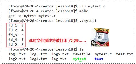 【看表情包学linux】初识文件描述符 虚拟文件系统 Vfs 初探 系统传递标记位 Otrunc Oappendlinux 虚拟文件系统标识 Csdn博客