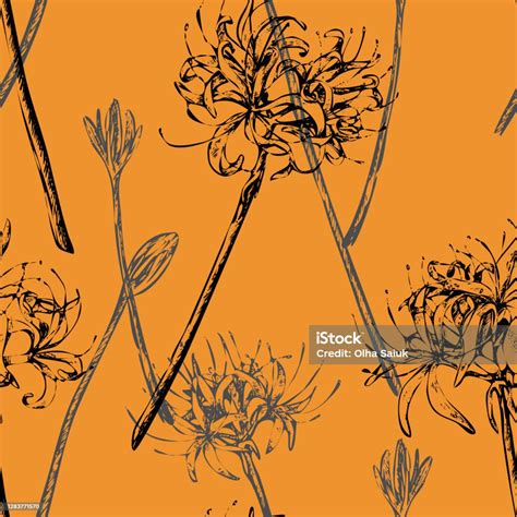 빈티지 플로럴 벡터 매끄러운 패턴 거미 백합 꽃의 스케치 손으로 그린 이국적인 식물 리코리스 배경 직물 종이 인쇄 포장 직물 카드 등을위한 컬러 식물 벽지 0명에 대한 스톡