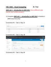 ITEC4000 AWS Lab1 Docx ITEC 4000 Cloud Computing Dr Tran AWS Lab 1