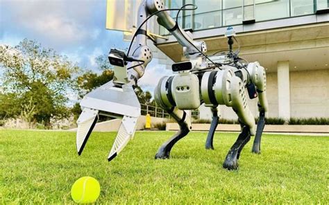 Imitation Learning Framework Enhances Quadruped Robots Loco