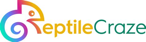 Cinnamon Ball Python A Comprehensive Guide Reptile Craze