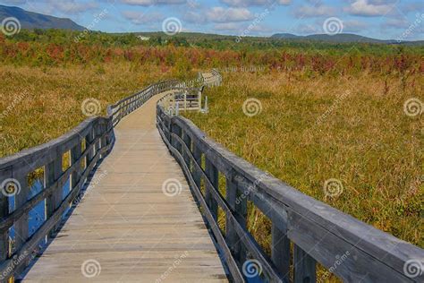 Beautiful Fall Colors In The Canadian Countryside Stock Image Image