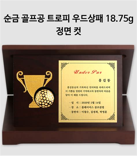 순금 5돈 홀인원패 골드초이스