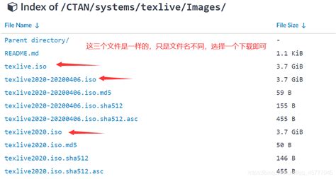 Latex安装——tex Live 2020texlive清华镜像网站 Csdn博客