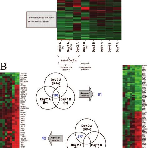 A Unsupervised Clustering Of Gene Expression Profiles The Profiles Download Scientific