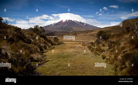 La Cordillera De Los Andes Del Ecuador Mahzgy
