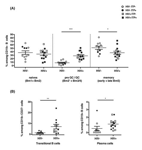 Gc B Cells Accumulate Whereas Memory B Cell Compartment Is Reduced In