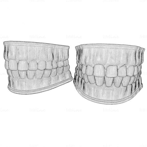 Dentures Mold 3d Model