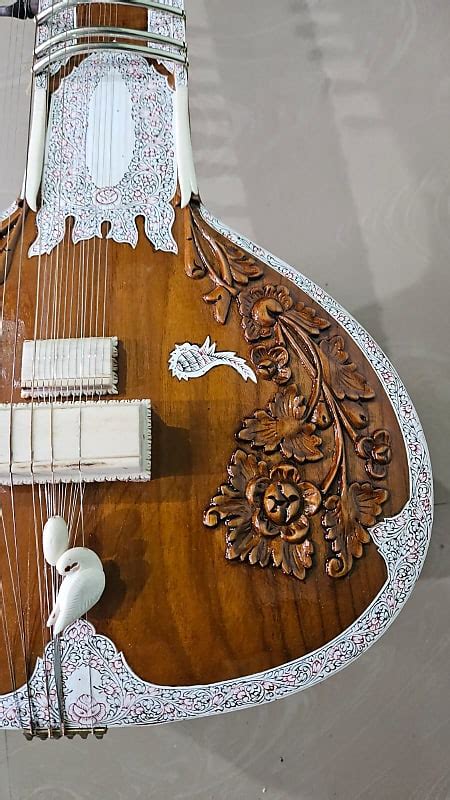 Pro Sitar Ravi Shankar Style Design Reverb