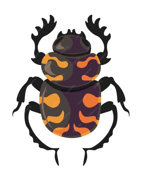 Premium Vector Insect Species And Types Isolated Bug Carrion Beetle With Legs And Pattern On