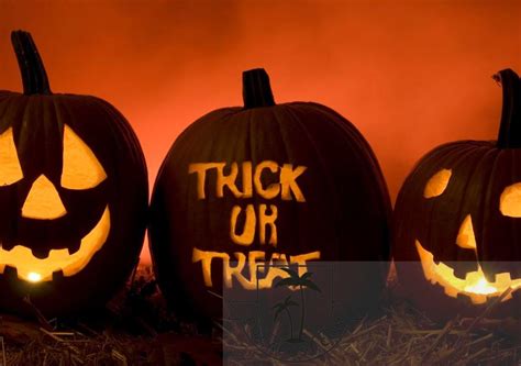 Happy Halloween Avoid Sex Offenders In Palm Beach County Safety Tips Boca Post