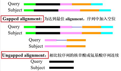遗传进化分析 序列比对前须知 1 《生信札记》 极客文档