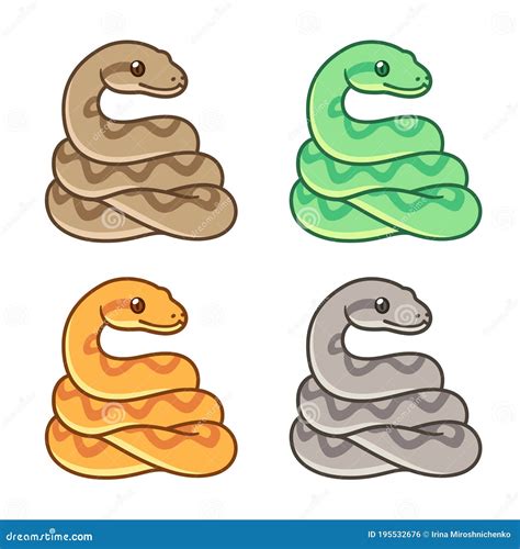 Python Curled Stock Illustrations 70 Python Curled Stock