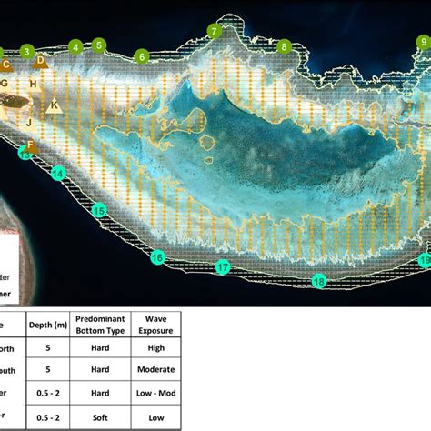 Conceptual Representation Of The Hierarchical Spatial Scales Examined Download Scientific