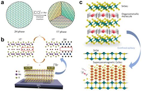 Interlayer Chemical Modulation Of Phase Transitions In Two Dimensional Metal Chalcogenides Pmc