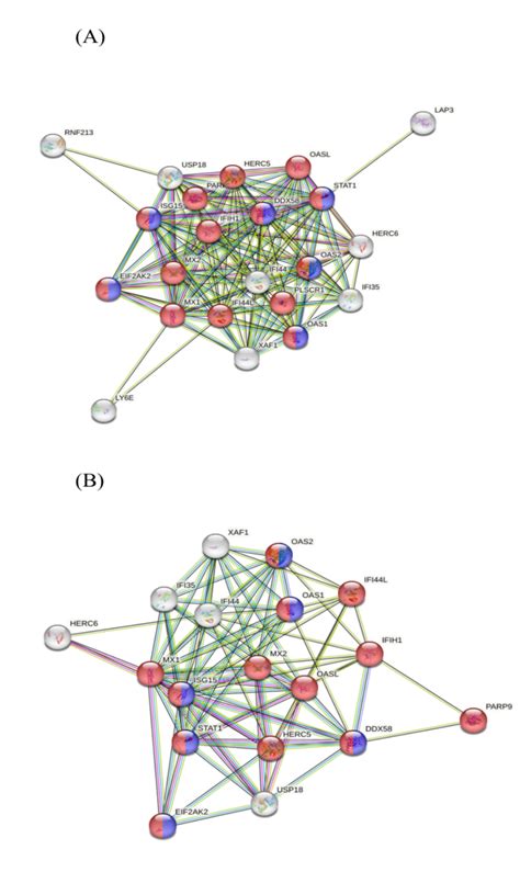 ppi network generated by string disconnected nodes are hidden and download scientific diagram