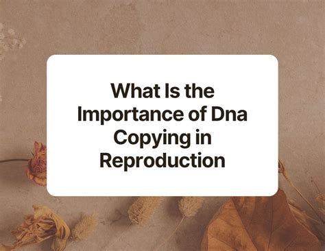 What Is The Importance Of Dna Copying In Reproduction Craftythinking