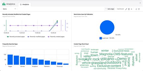 Analytics Integration Framework Magnolia Cms Docs