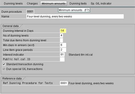Dunning Configuration And Processing Manuual