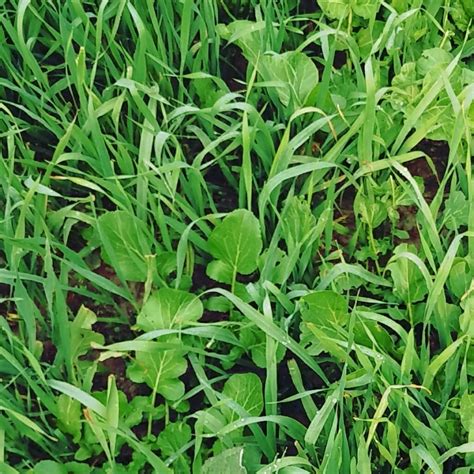 Technical Science Youtube