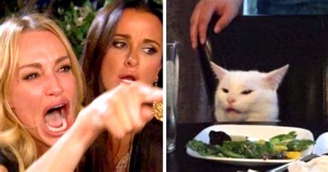 Lady Yelling At Cat Meme Template Campaign Planning Template