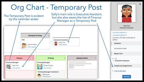 Org Chart Temporary Post Feature — Metapulse Blog