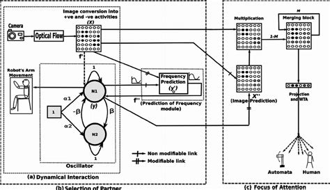 The Global Architecture A Dynamical Interaction Model B Selection Download Scientific