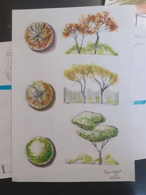 Architectural Drawing Of Four Types Of Trees