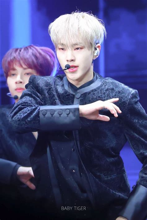 Ghim C A Maria Cecilia Tr N Fotos Do Hoshi