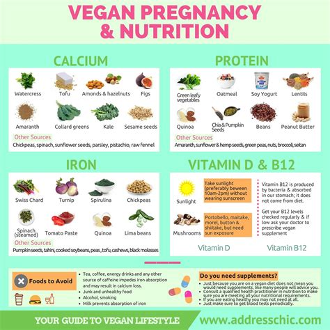 Veg Diet Chart For Pregnant Lady At James Ivery Blog