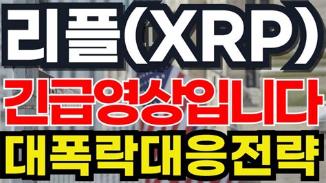 리플코인 긴급영상입니다 대폭락대응전략 공개 Youtube