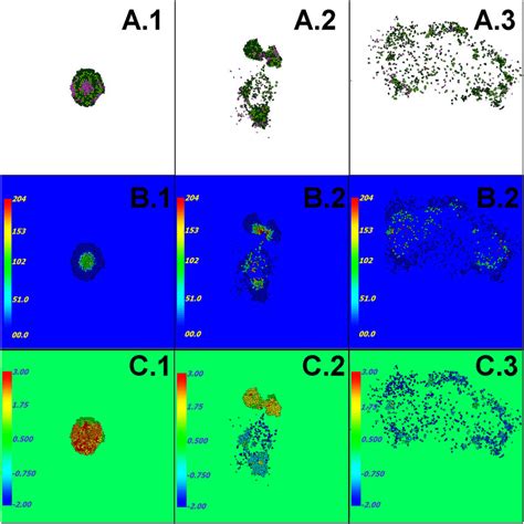 Simulation Snapshots Row A Generalized Cell Type Dark Green