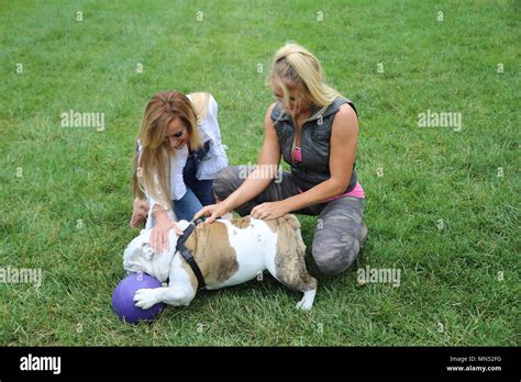 Dana Warrior” Hellwig And Lacey Evans Play With Chesty Xiv The Official Marine Corps Mascot