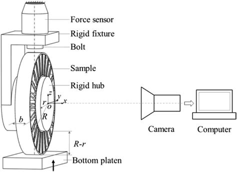 Diagram Of Quasi Static Uniaxial Compression Experiment Download Scientific Diagram