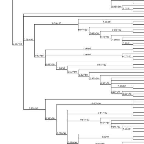 Fig S2 Bayesian Inference Phylogeny Of The Ets Dataset Posterior