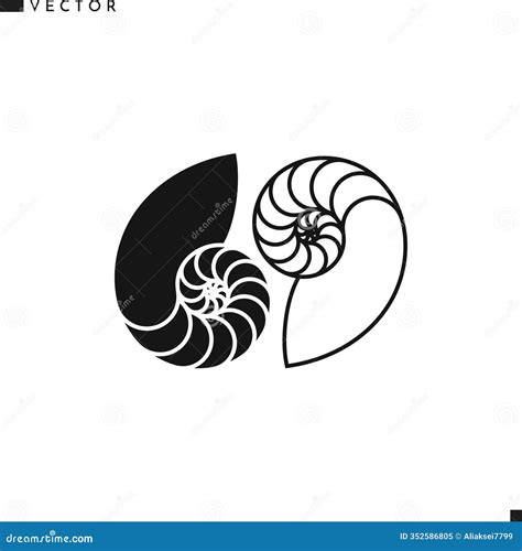 Nautilus Shell Spiral Structure Illustrates Biomimicry In Architecture Spiral Staircase Design