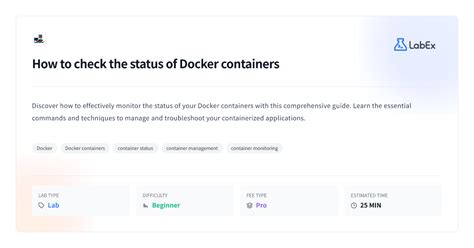 how to check the status of docker containers labex