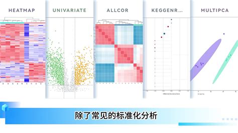 全新亮相：非靶向代谢组可视化分析利器震撼上线，带您快速解读代谢组分析数据！ 知乎