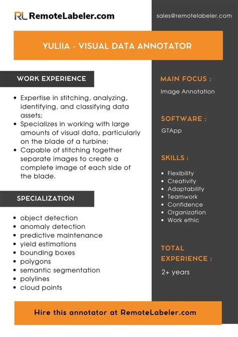 Visual Annotator Yuliia Expert In Labeling And Classifying Data