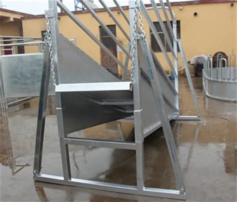 Livestock Equipment Cattle Sheep Ramp Cattle Yard Loading Ramp Cattle Loading Ramp And Cattle