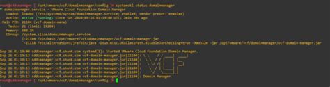 Building A Multi NIC VCF Workload Domain Using API LAB PROD