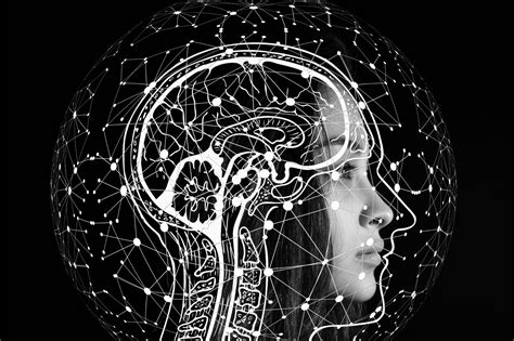 Enteric Nervous System Your Second Brain Maxis Health