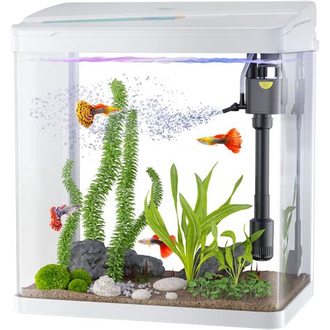 3 Gallon Fish Tanks
