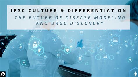 Ipsc Culture And Differentiation The Future Of Disease Modeling And Drug Discovery Bioinformant