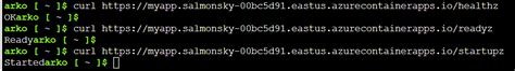 Javascript Health Probe With Errors In Azure Container App Stack