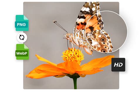 PNG To WEBP Converter Online For Free Fotor