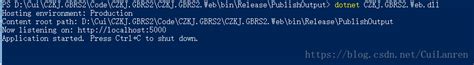 Net Core Iis Error Process Failure Iis Csdn